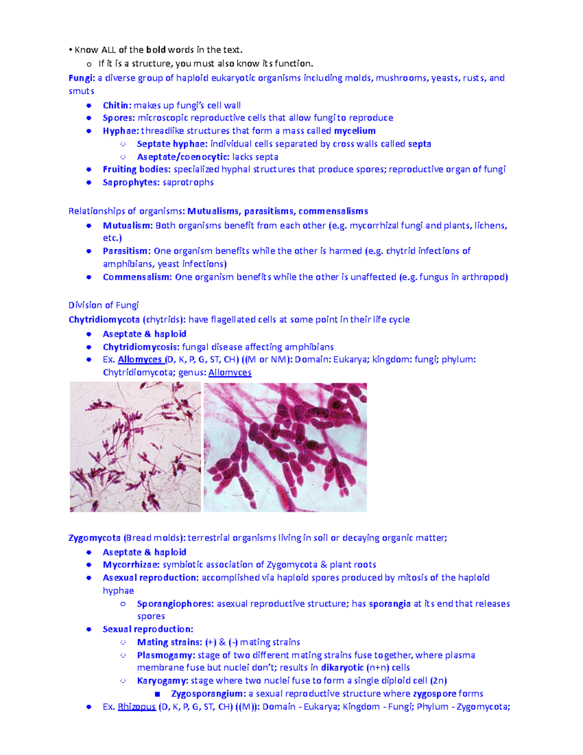 Fungi Life Cycle and Interactions: Lab 3 - Fungi Study Guide - Know ALL ...