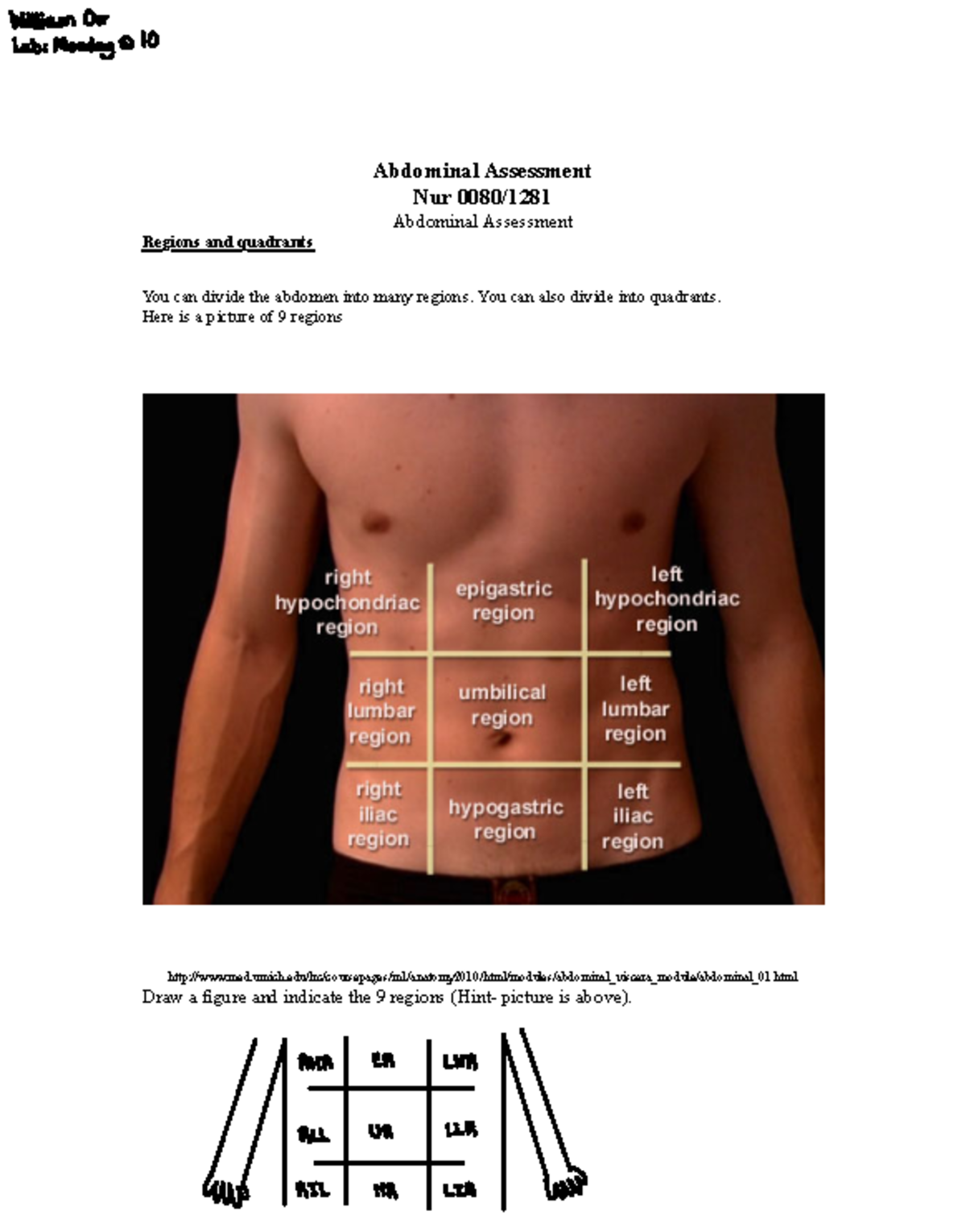 Abdominal+Homework+b - Abdominal Assessment Nur 0080 / Abdominal ...