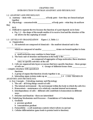 Anatomy Test 4 Notes: Overview of Nervous System Structure & Function ...