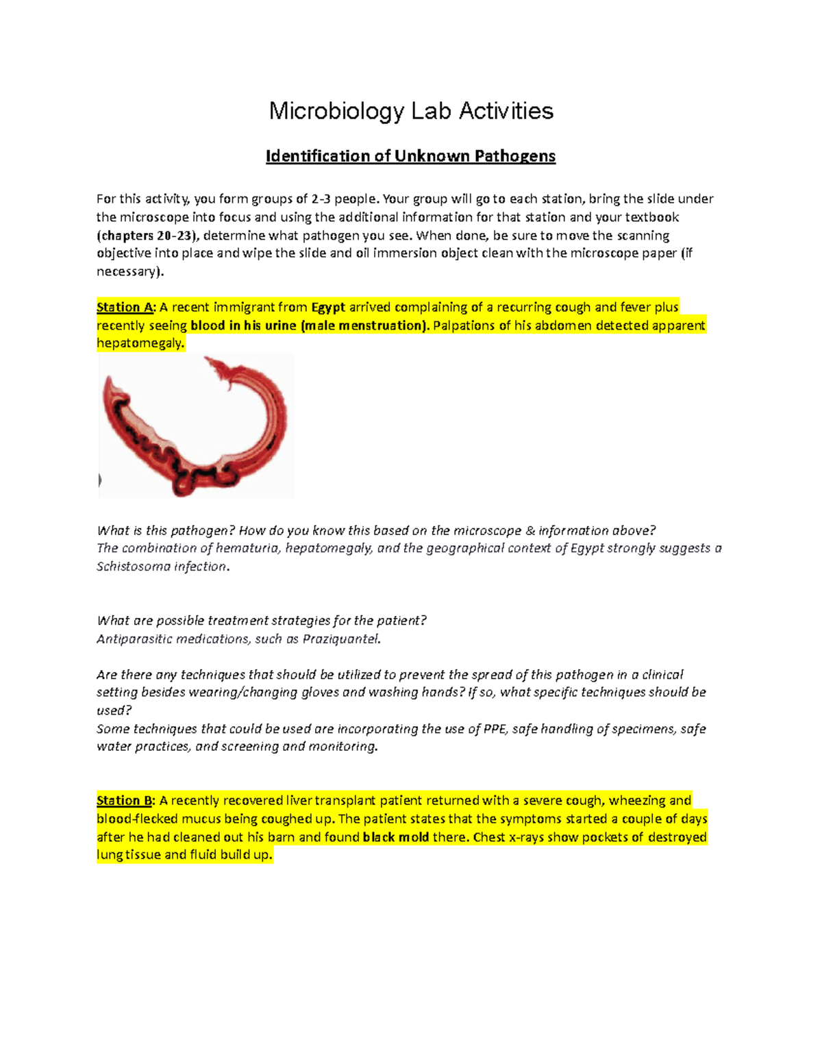 Microbiology Lab Assignment - Week 8 (Identification of Pathogens ...