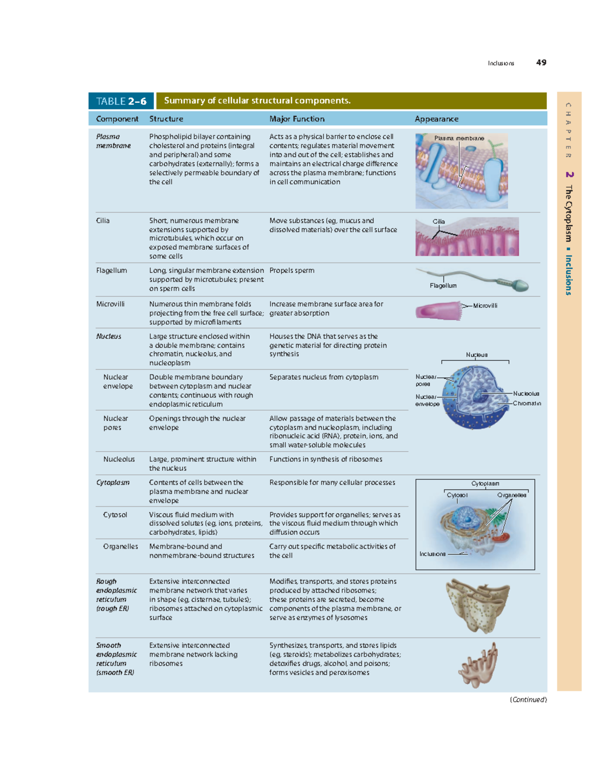 Cellular Structures and Functions: A Comprehensive Summary (BIO101 ...