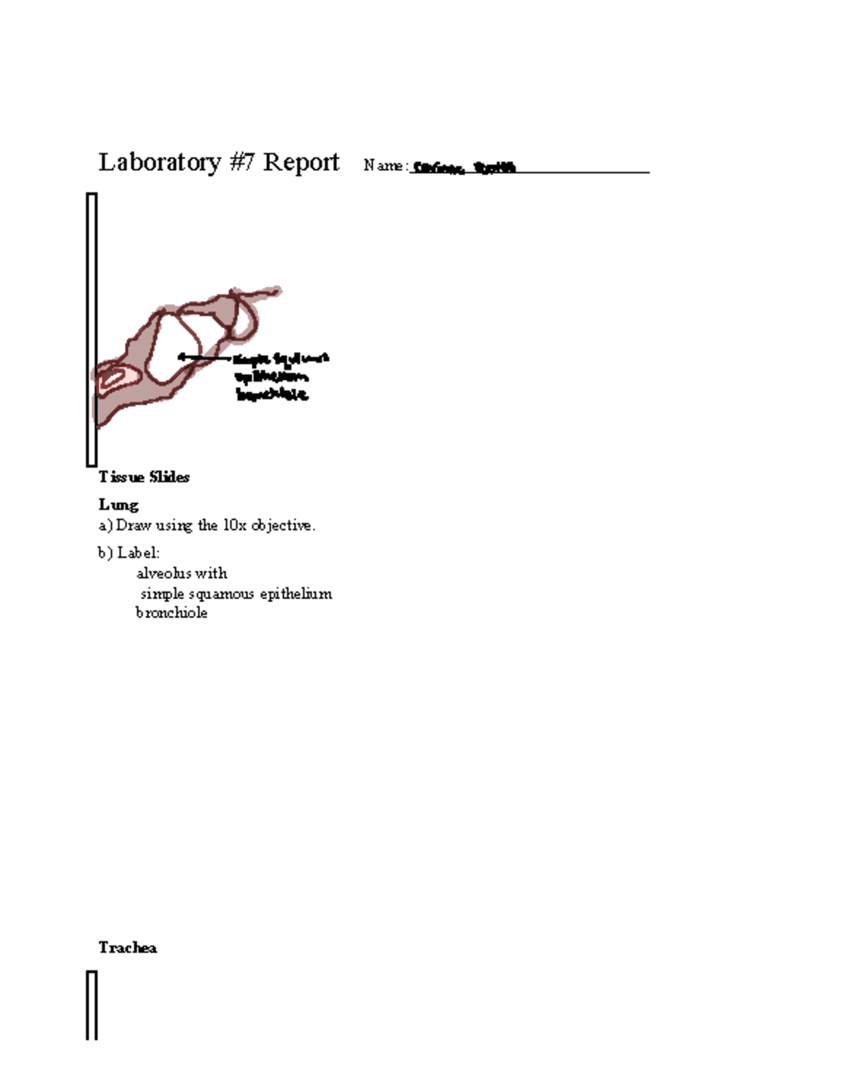 Lab7report Lab 7 Report Deprecated Api Usage The Svg Back End Is