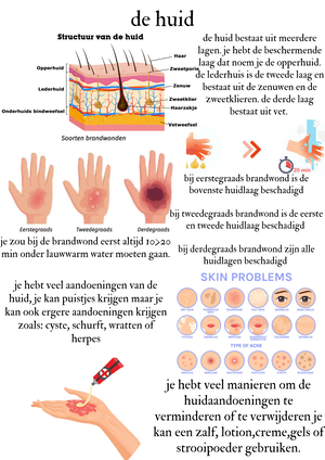 Samenvatting AFP paragraag 4 - De huid ( cutis ) Bestaat uit 3 lagen ...