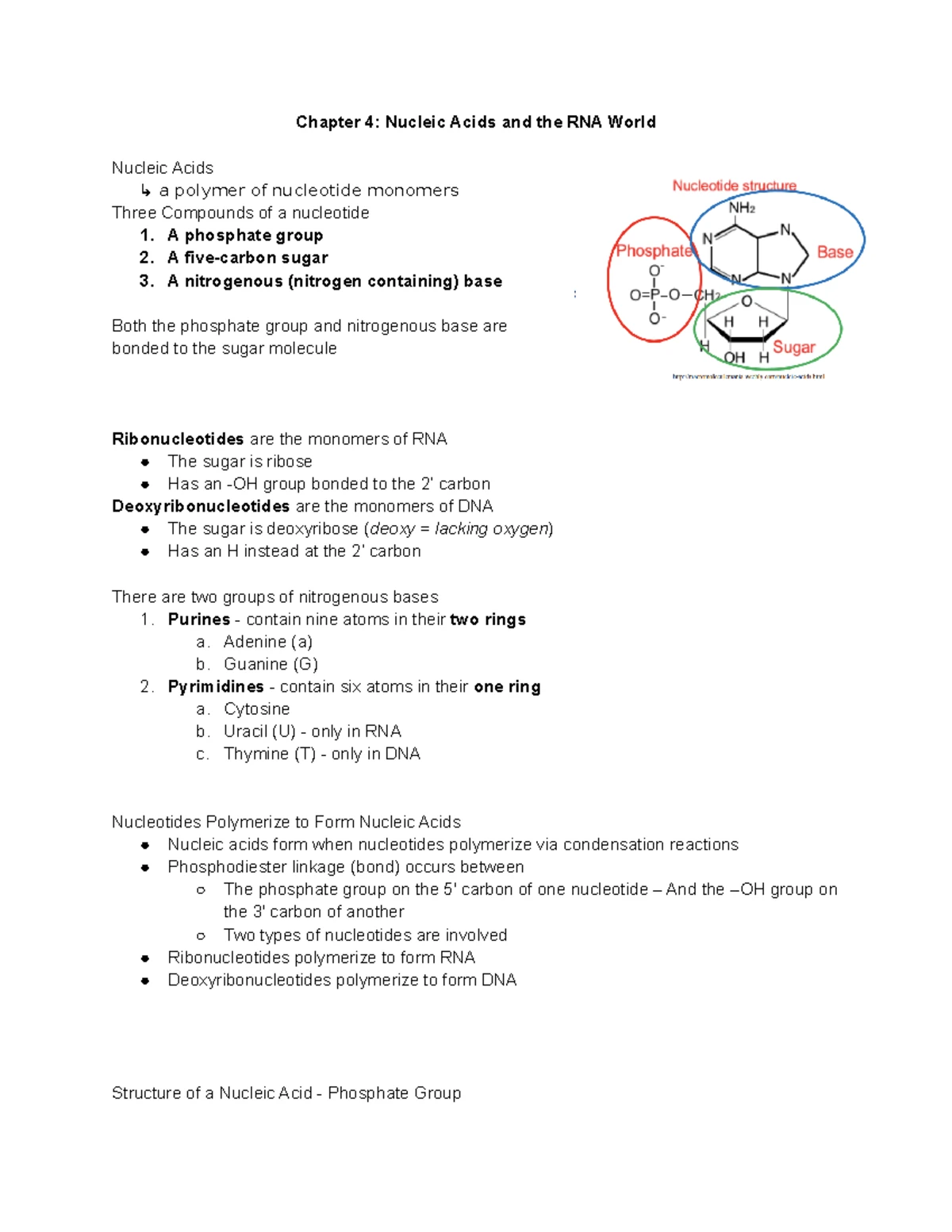 Understanding Macromolecules and Cell Structures: Key Concepts (BIO101 ...