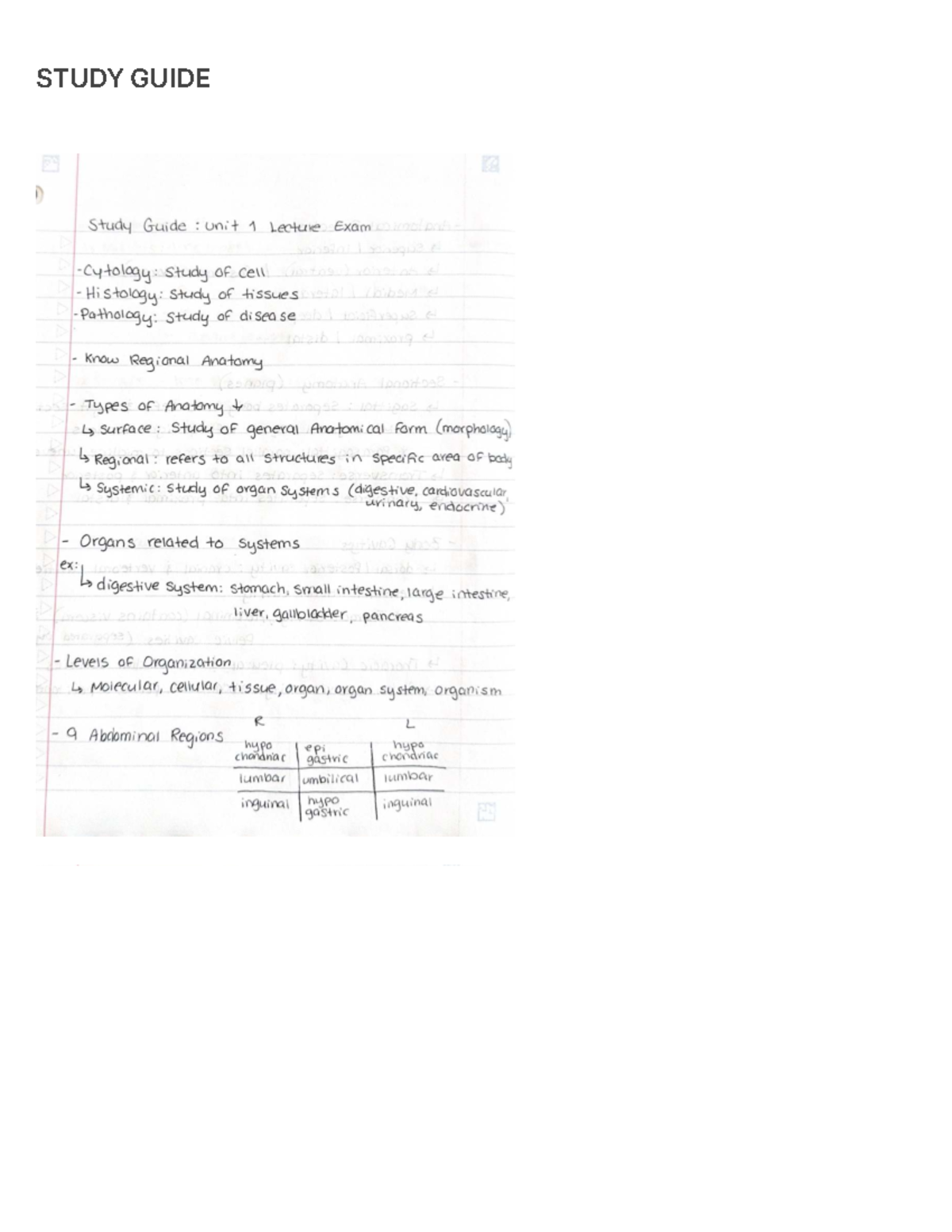 Study Guide: Comprehensive Review for C Study Guide Exam - Studocu