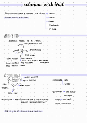 examen Psico, Neuro clinica - 5 de febrero 2025 Por medio de la ley de ...