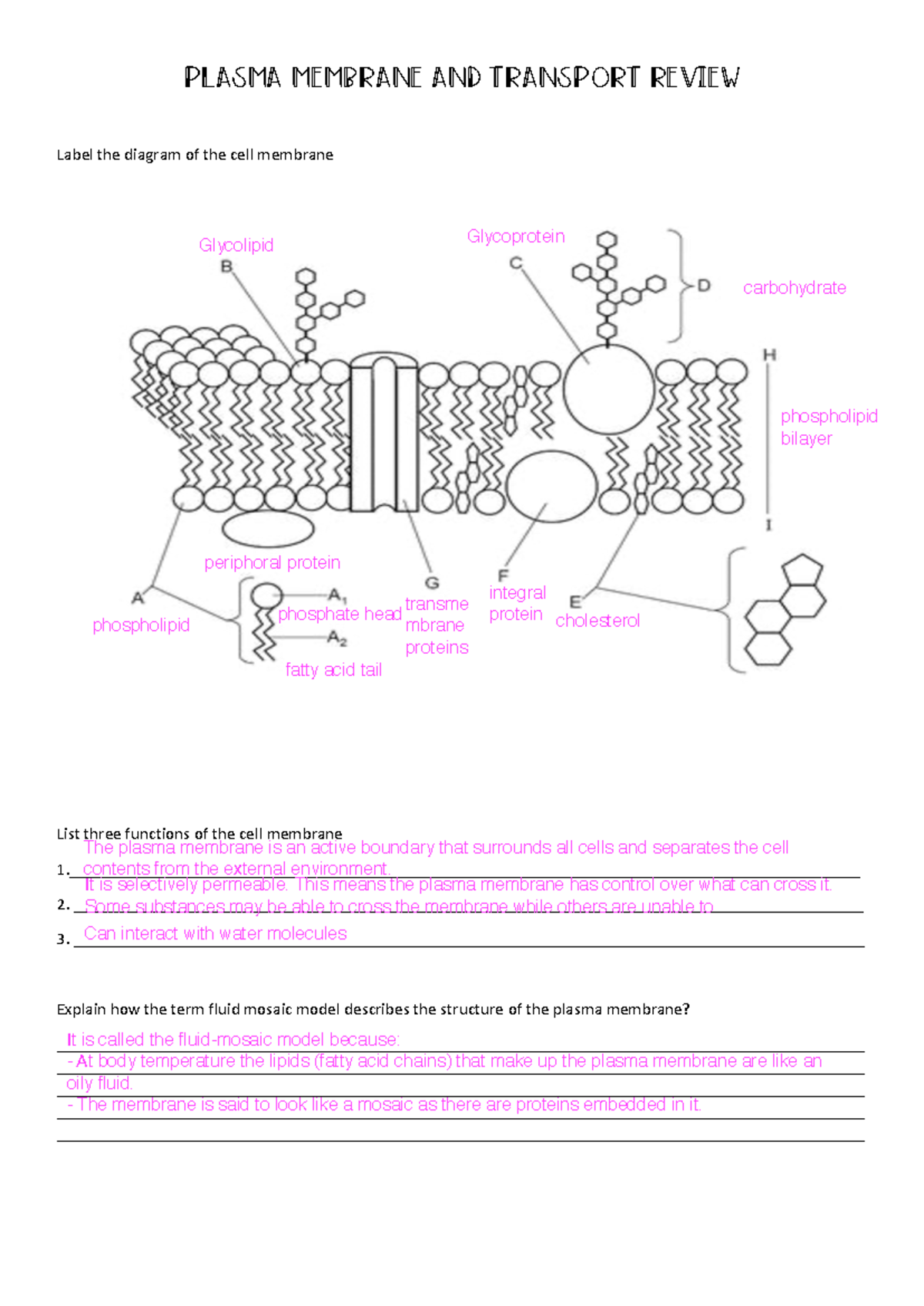11 Biology Homework Topic 2 Cell Membranes - Plasma Membrane and ...