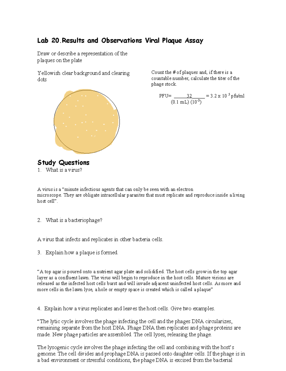 Lab 20: Study Questions on Viral Plaque Assay Techniques - Studocu