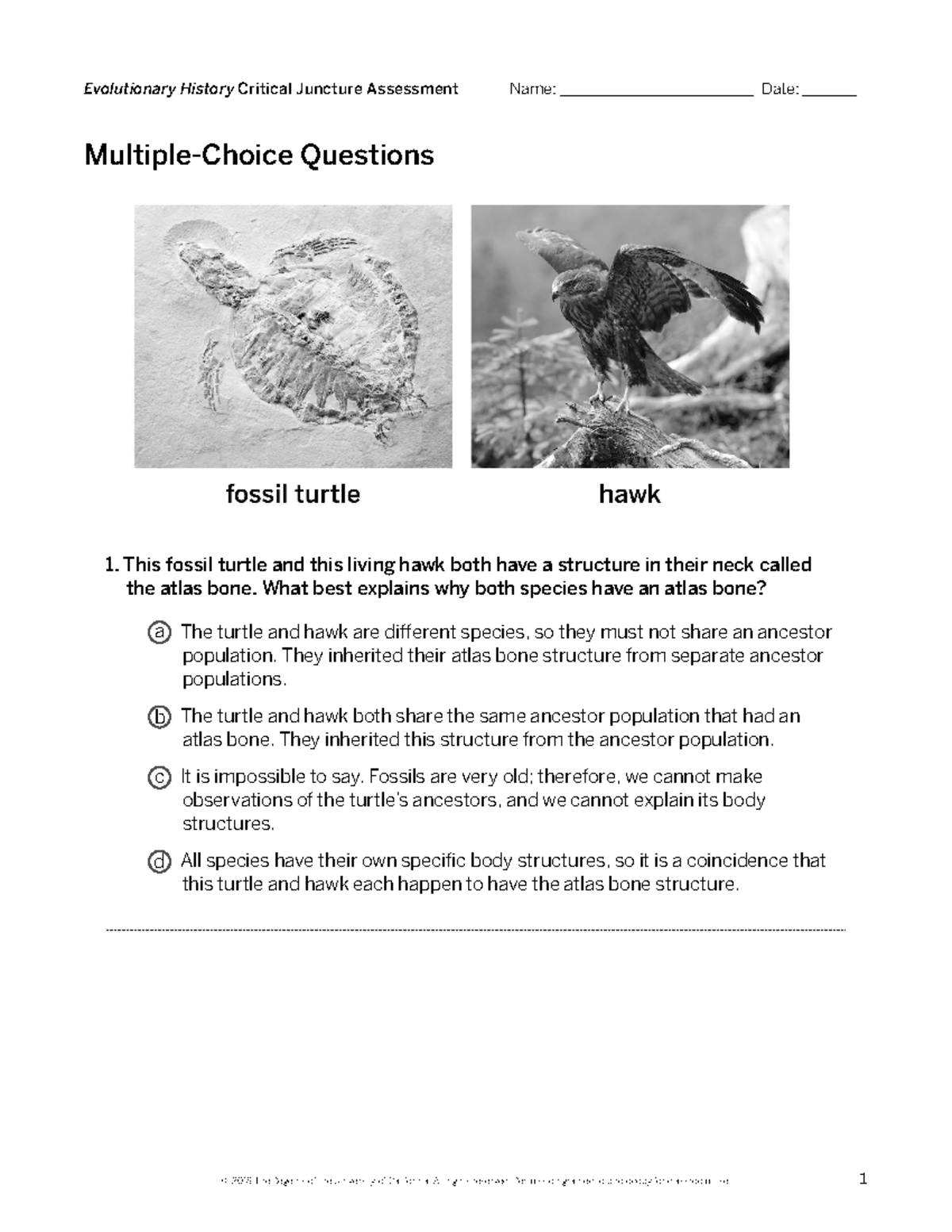 Lesson 10 - Evolutionary History Critical Juncture Assessment - Studocu
