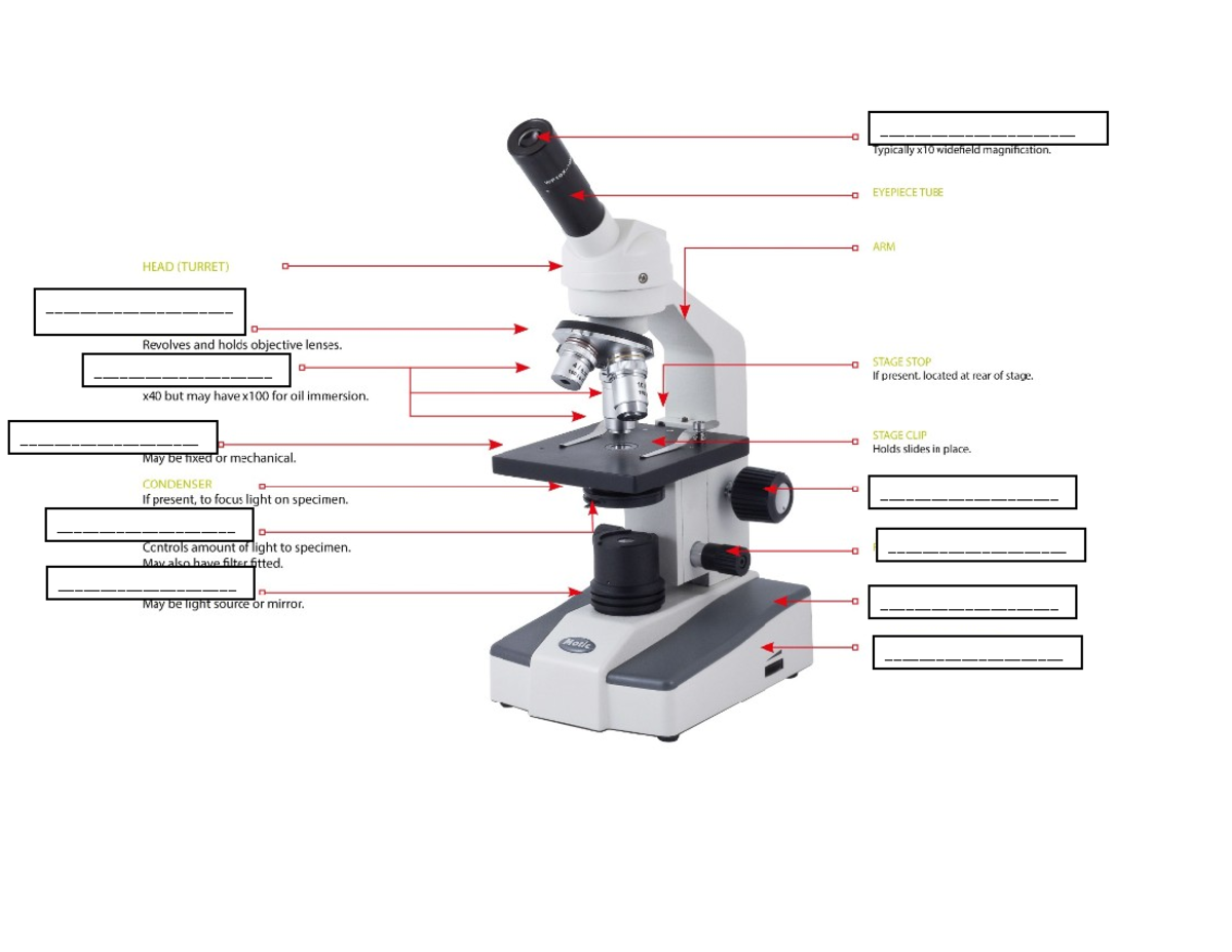 Microscope to fill in 1.1 A level - Biology - Typically x10 widefield ...