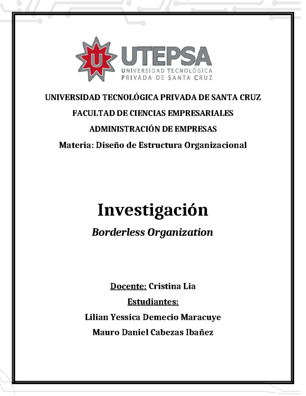 Diseño de Estructura Organizacional: Borderless Organization Study ...