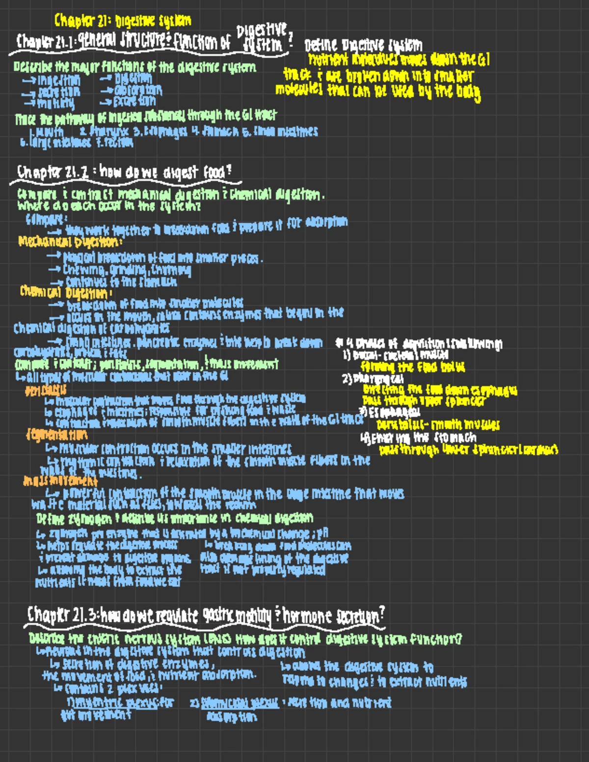 Chapter 21 study guide - Digestive System - Chapter 21: Digestive ...