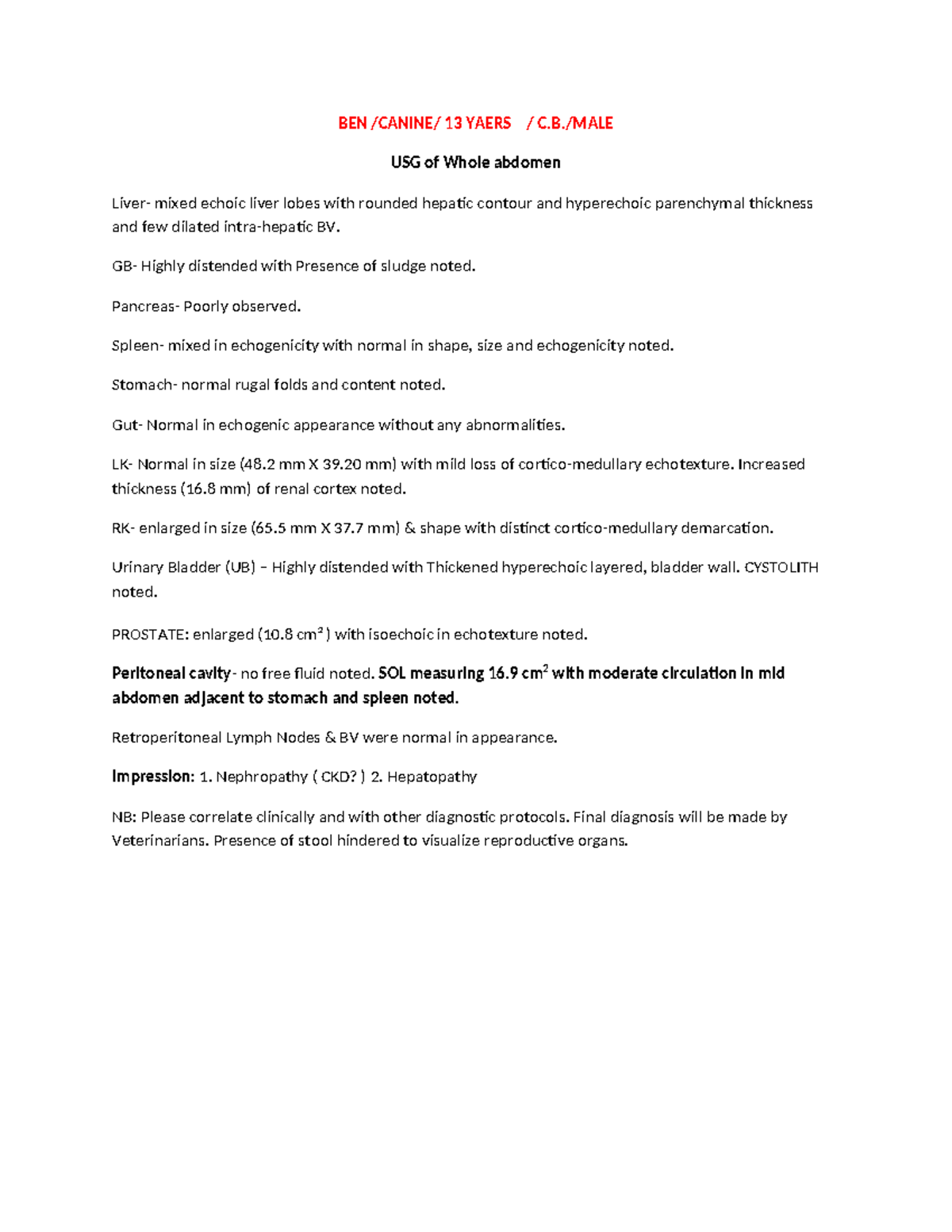 BEN 13 Years USG Report: Mixed Echoic Liver & Renal Findings - Studocu