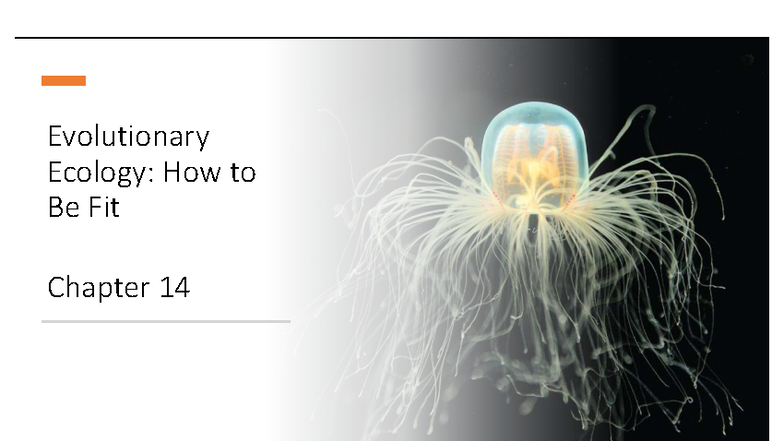 Evolutionary Ecology: Life History Traits & Fitness (Course Code) - Studocu