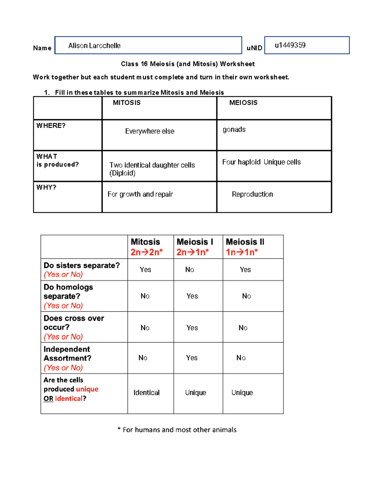 Class 16 Meiosis and Mitosis Worksheet - Studocu