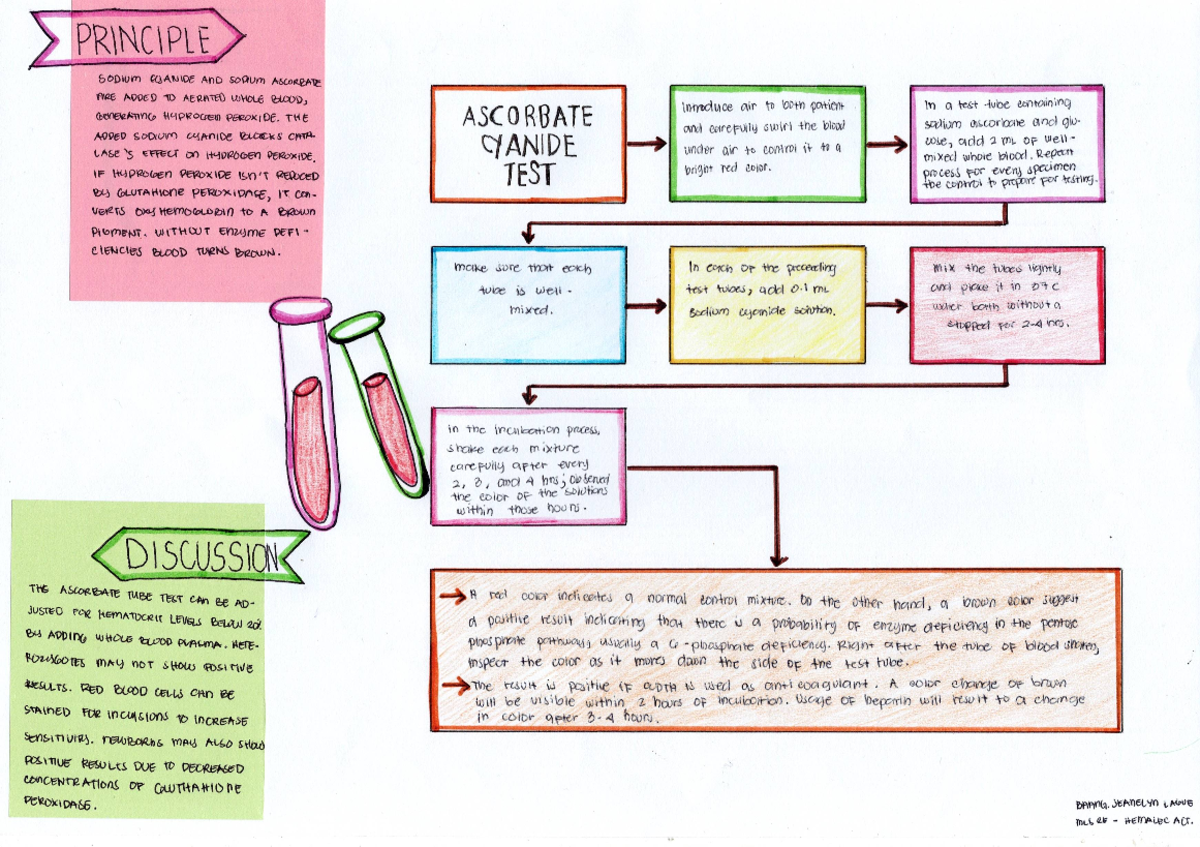 SHE 1 Activity 01.01 - PRINCIPLE SODIUM USANIDE AnD sopium ASCORBATE ...