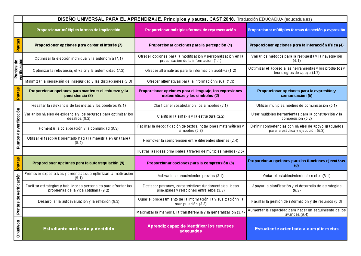 Esquema DUA - DISEÑO UNIVERSAL PARA EL APRENDIZAJE. Principios y pautas ...