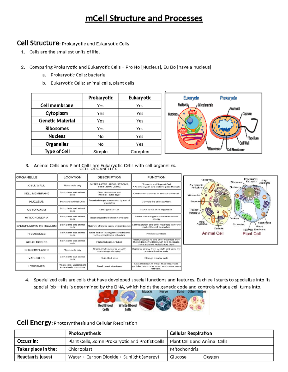 Cell Structure Guide - explain - mCell Structure and Processes Cell ...