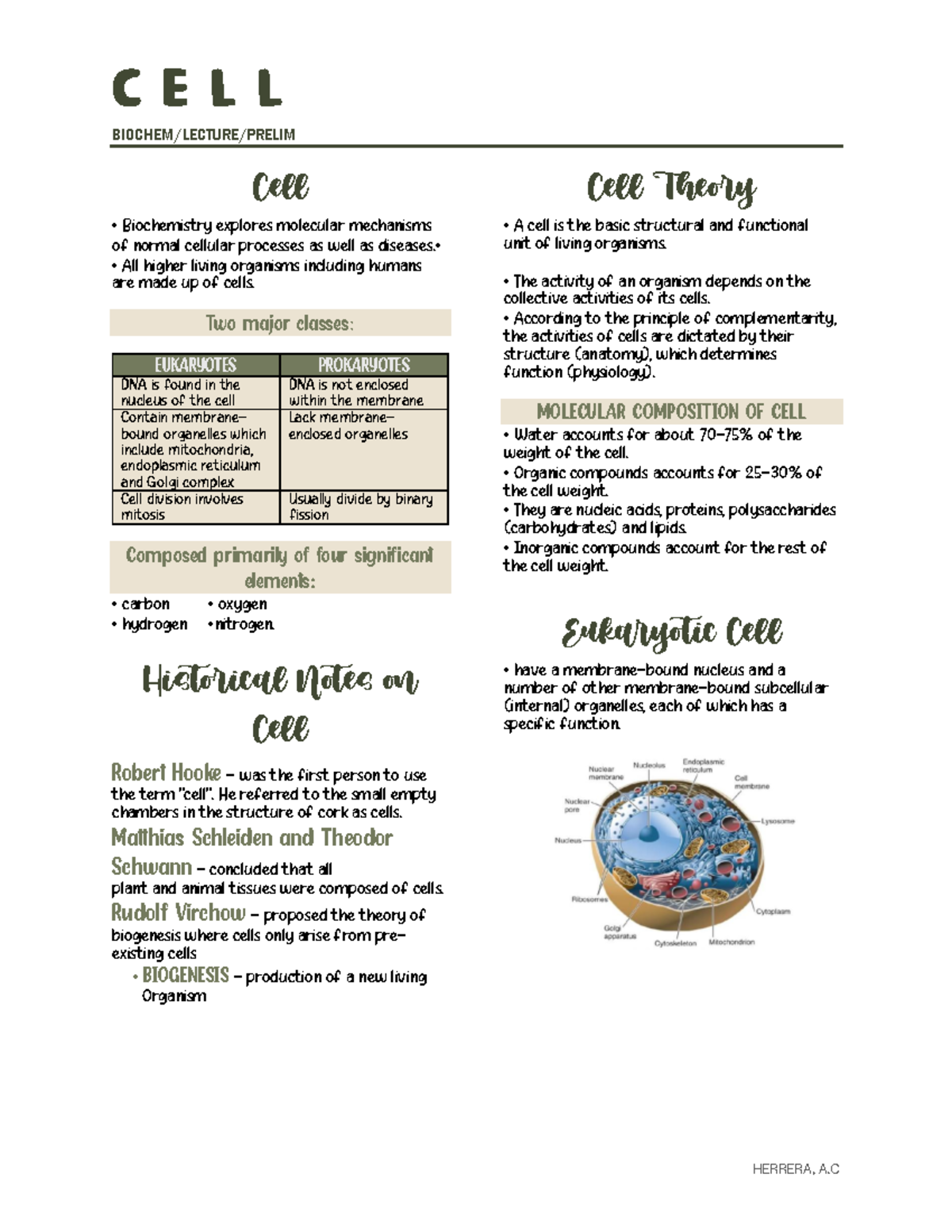 Cell Biology Lecture Notes: Understanding Cell Theory and Structure ...