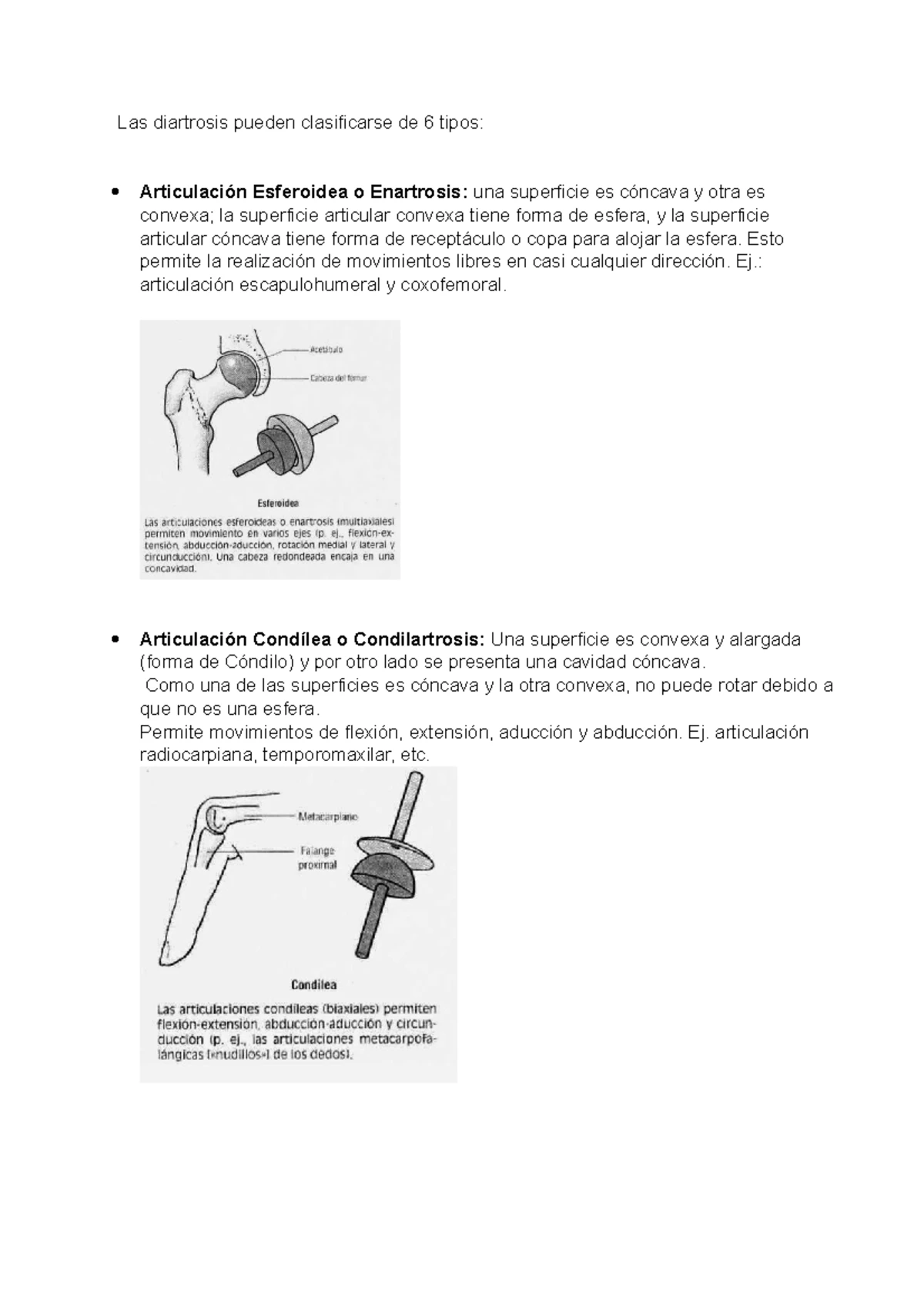 Región Cigomática - Anatomía y Límites Estructurales - Studocu