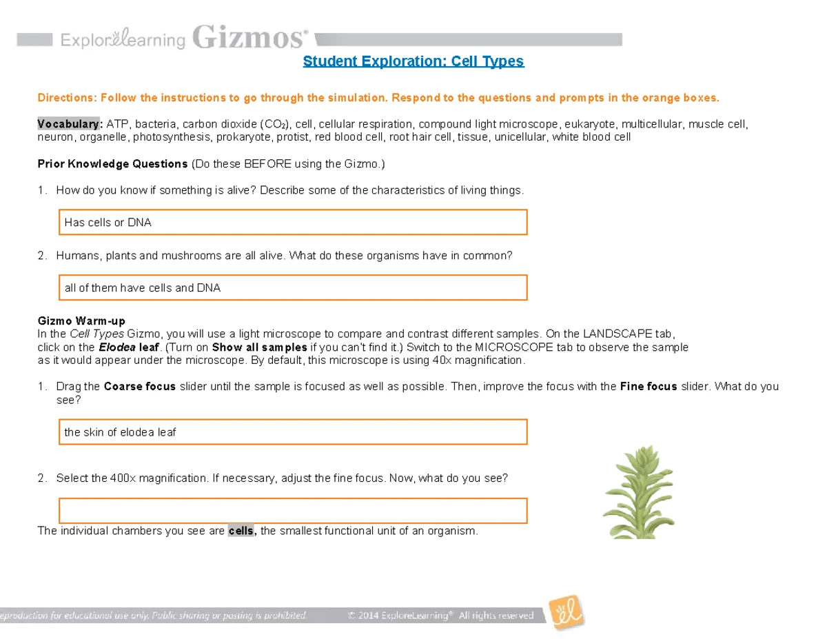 Photosynthesis Lab Gizmo Student Exploration Guide 2023 - Studocu