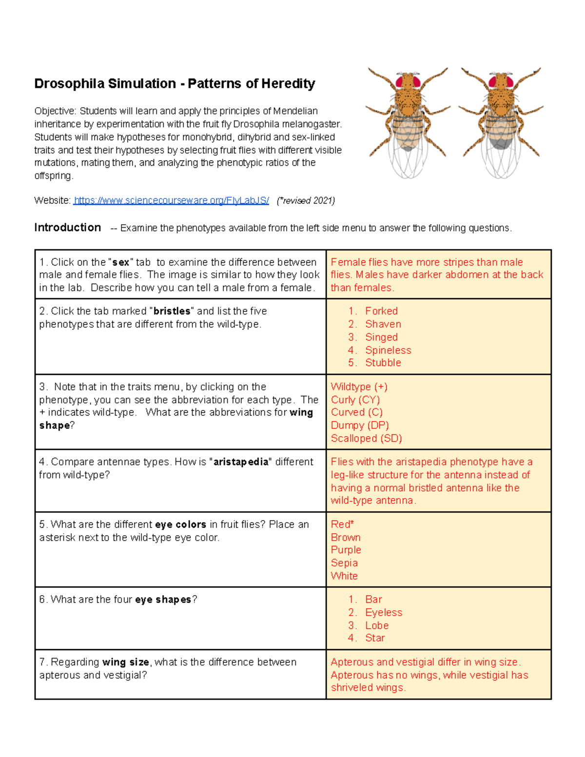 Drosophila Genetics & Heredity Lab Report (BIO101) - Studocu