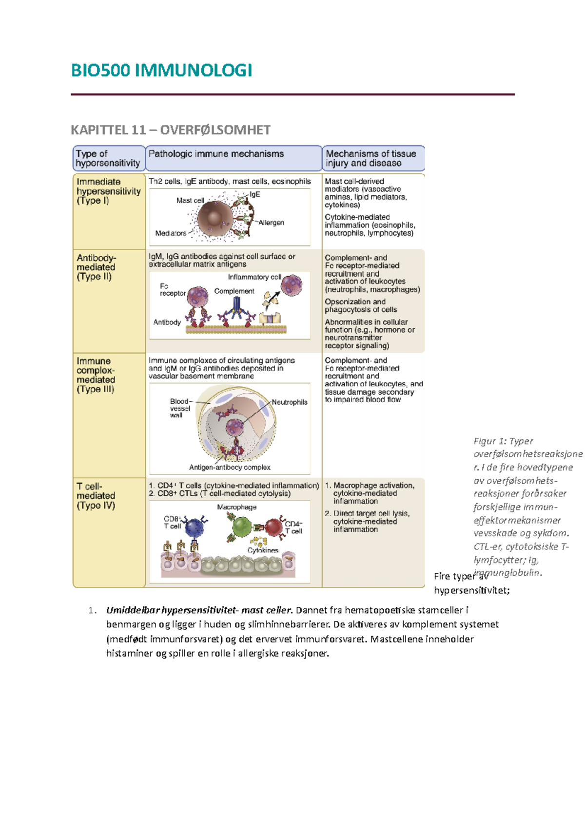 BIO500 KAP 11 - Hypersensitivitet - BIO500 IMMUNOLOGI KAPITTEL 11 ...