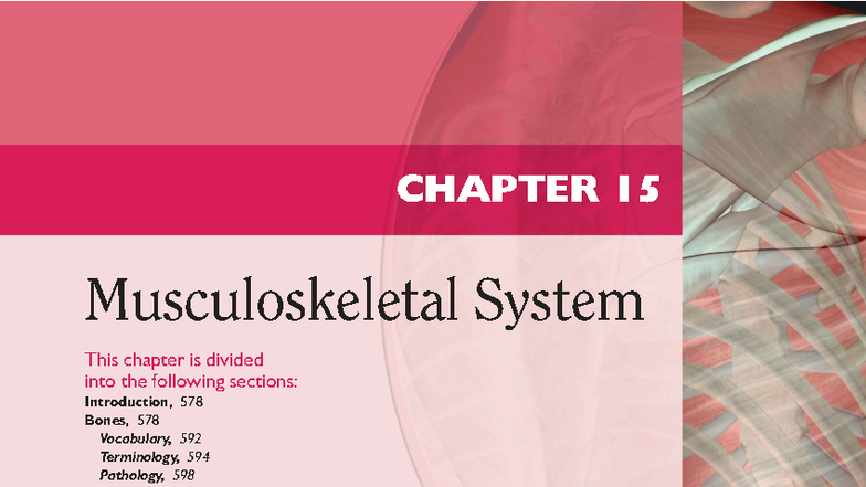 CHAPTER 15: Musculoskeletal System Overview and Key Concepts - Studocu
