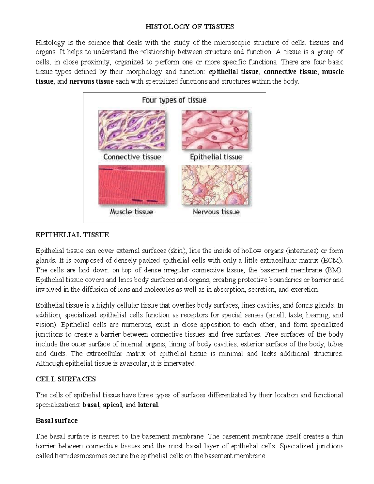 HISTOLOGY OF TISSUES: A Comprehensive Overview - Studocu