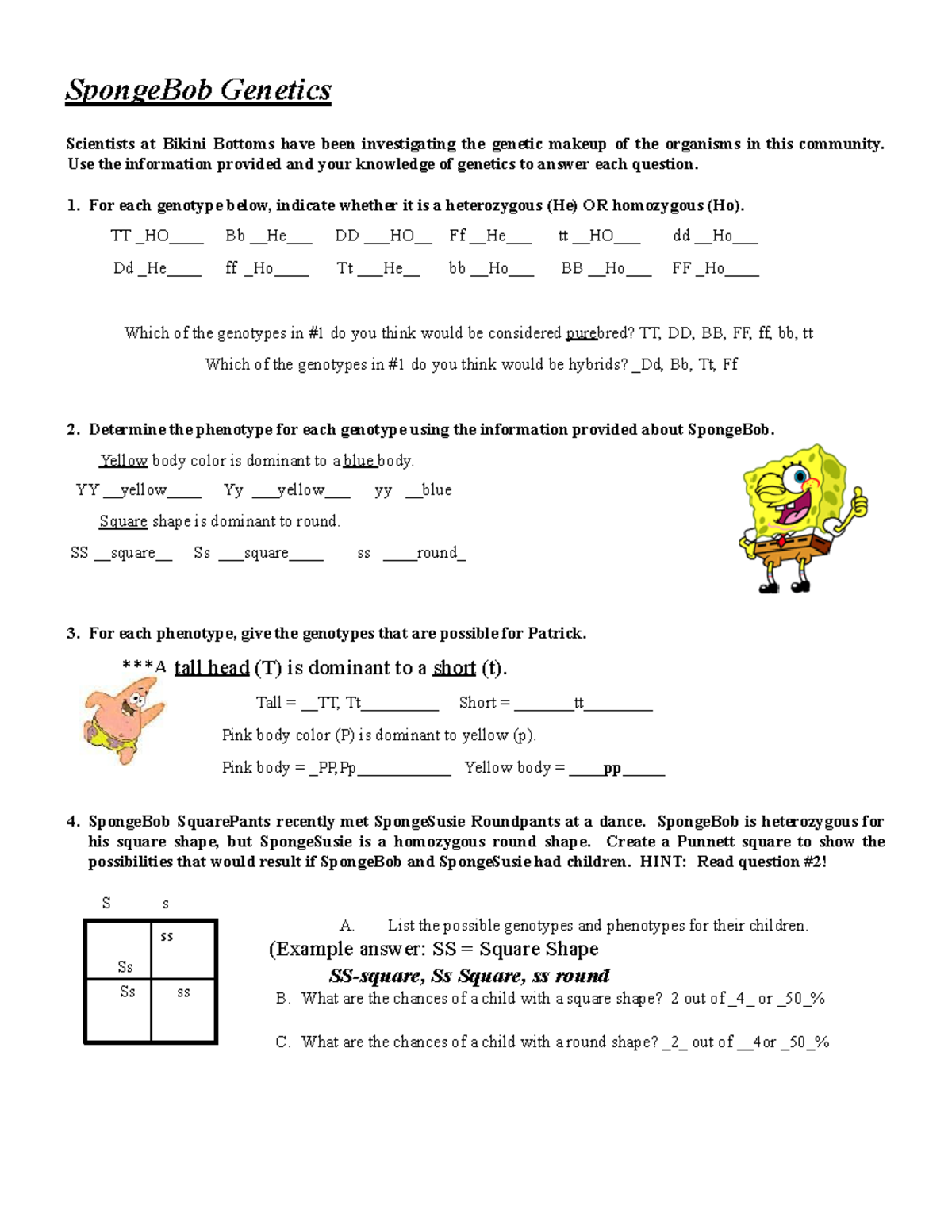 SpongeBob Genetics: Punnett Square Analysis and Predictions - Studocu
