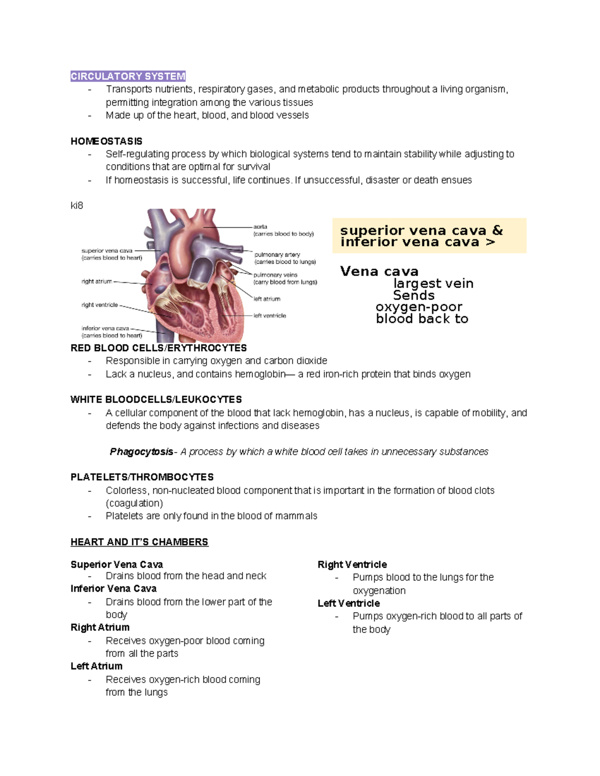 Circulatory and Respiratory 10 - CIRCULATORY SYSTEM Transports ...