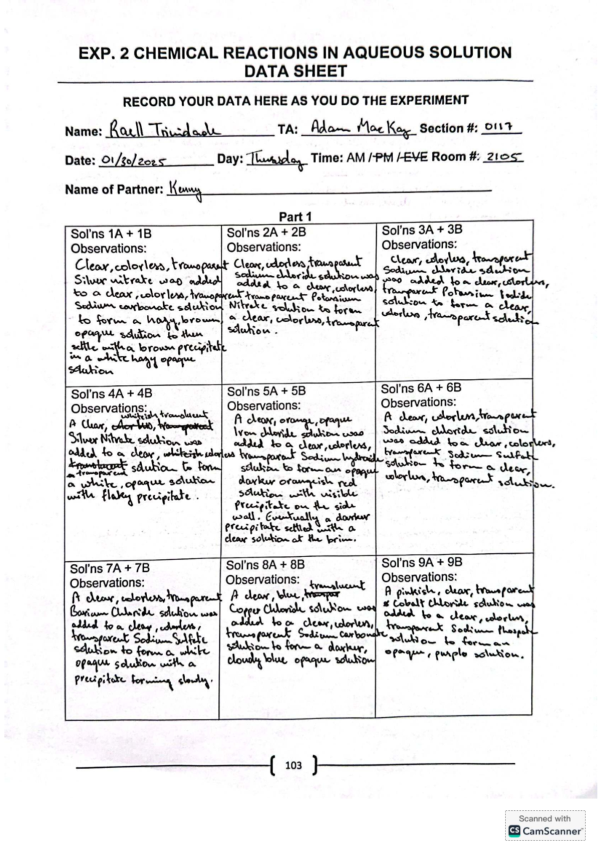 CHEM 211 - Exp. 2: Chemical Reactions in Aqueous Solutions Data Sheet ...