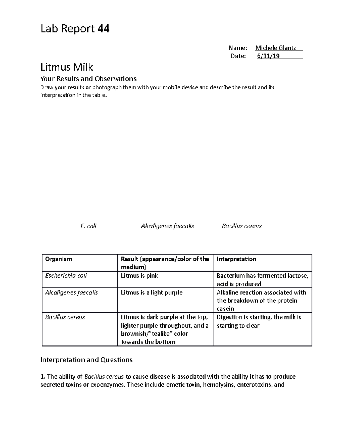 Lab Exercise 44: Results & Analysis of Litmus Milk Test - Studocu