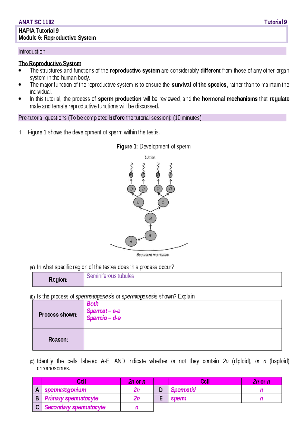 ANAT SC 1102 HAPIA Tutorial 9: Reproductive System Overview - Studocu