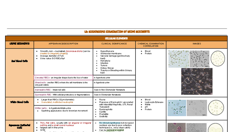L6 - Microscopic Examination of Urine Sediments and Cells - Studocu