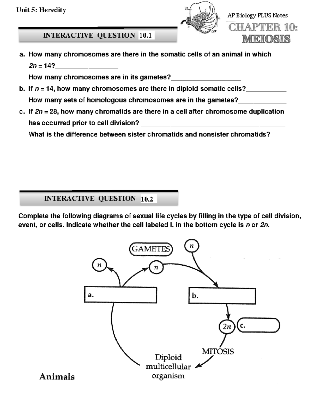Unit 5: Heredity & Classical Genetics AP Biology PLUS Notes - Studocu