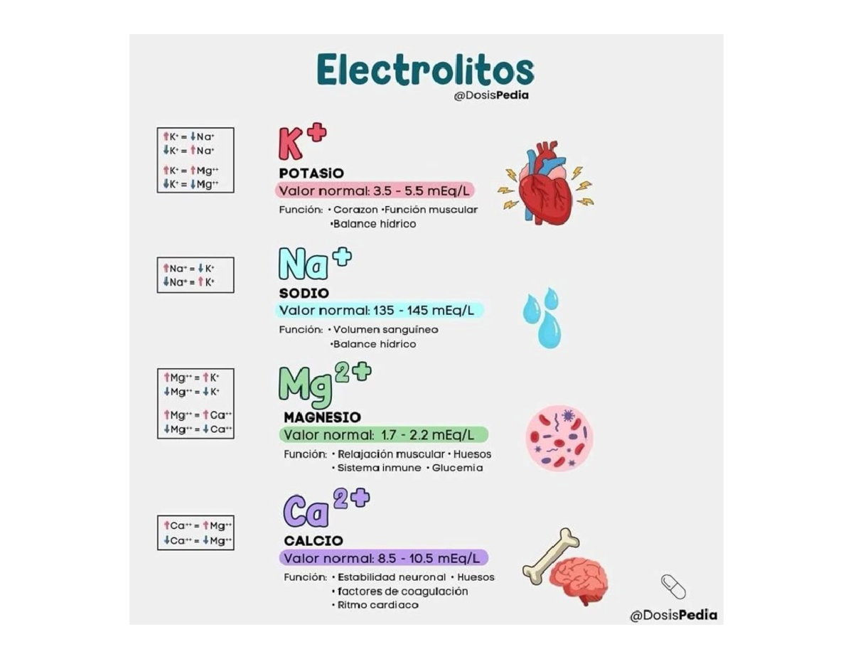 Electrolitos y sus Funciones: Valores Normales y Balance Hídrico - Studocu