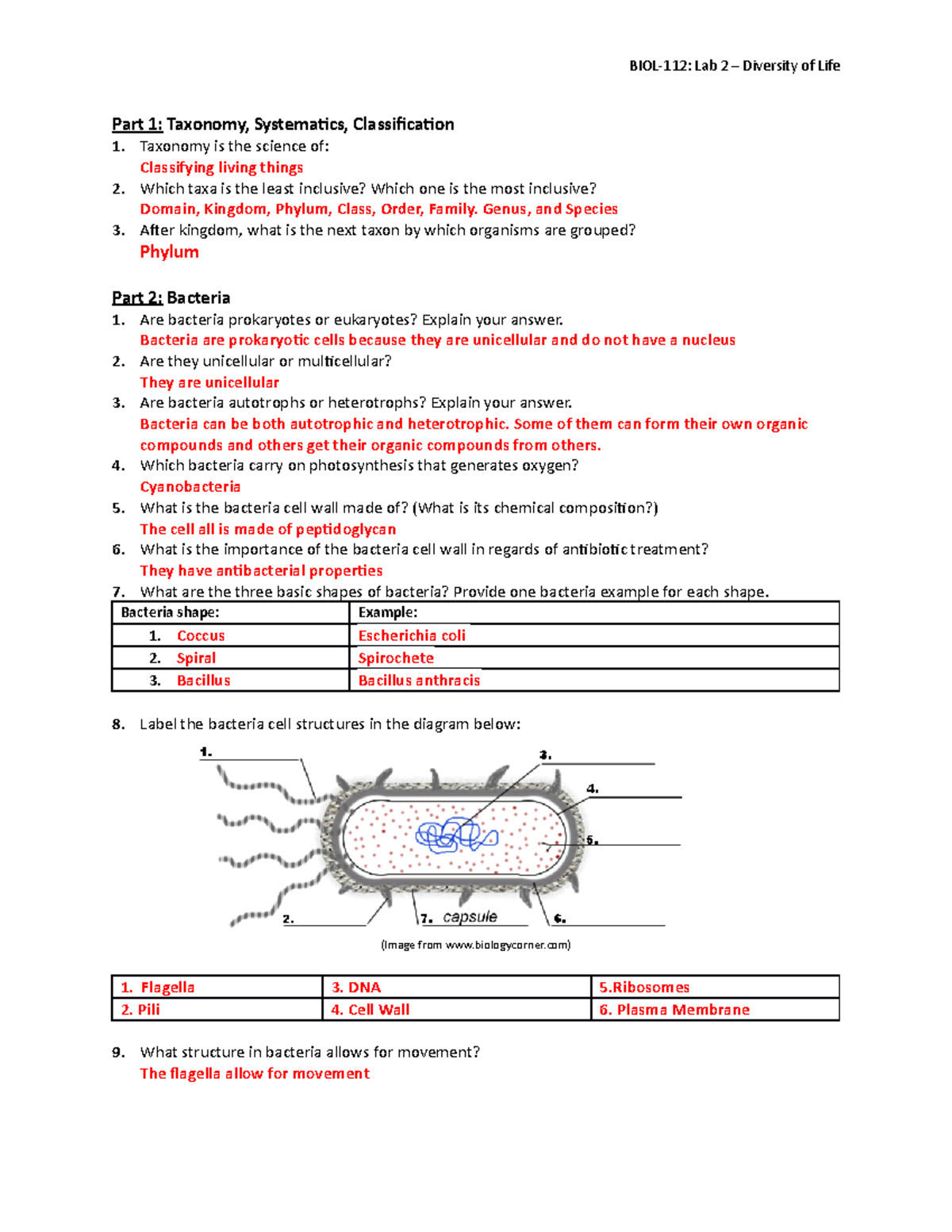 BIOL-112 Lab 2 Activity Worksheet Diversity of Life - Part 1: Taxonomy ...
