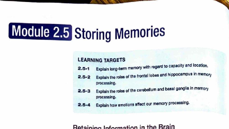 Final Exam Study Guide: Memory Construction & Retrieval (PSY-101) - Studocu