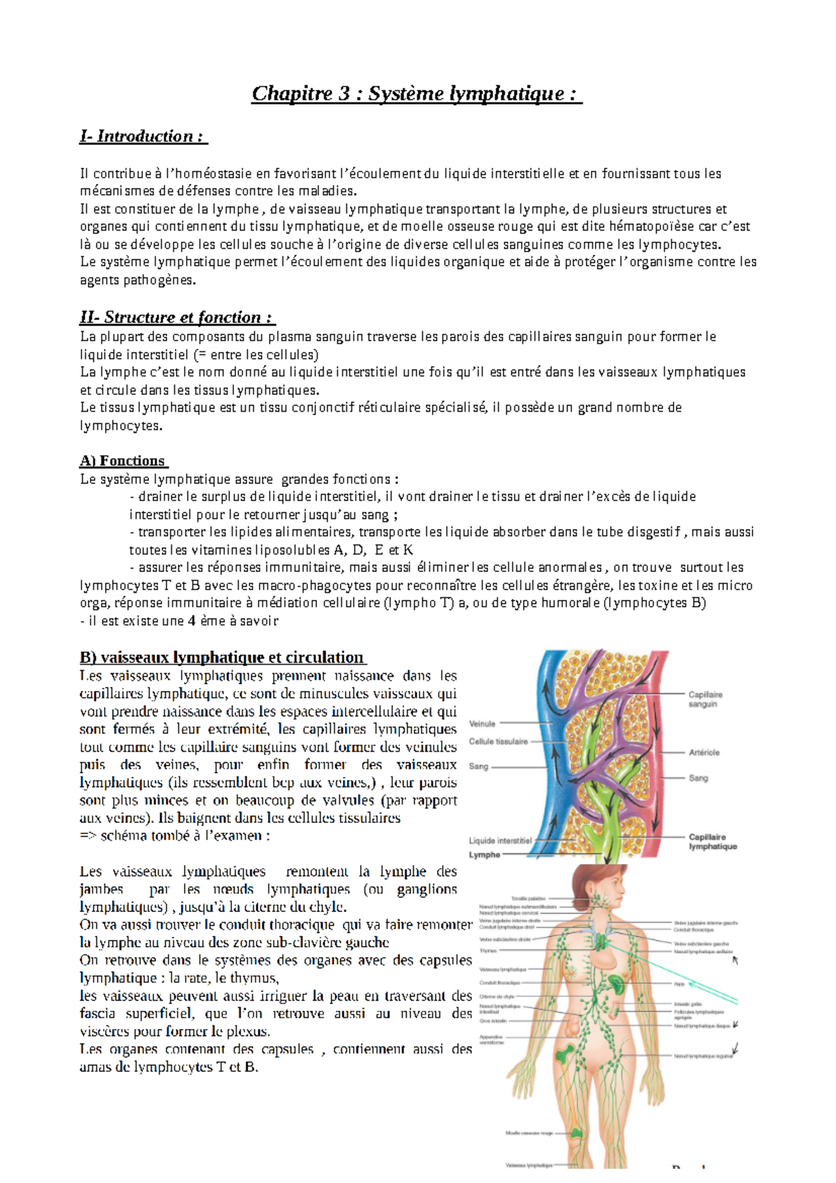 Le système lymphatique - Chapitre 3 : Système lymphatique : I ...