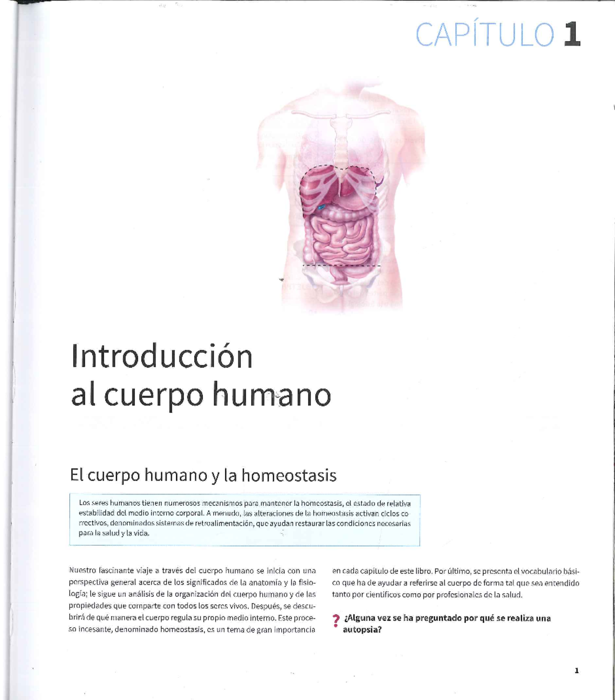 Capítulo 1 Introducción Al Cuerpo Humano Y Homeostasis Bio101 Studocu