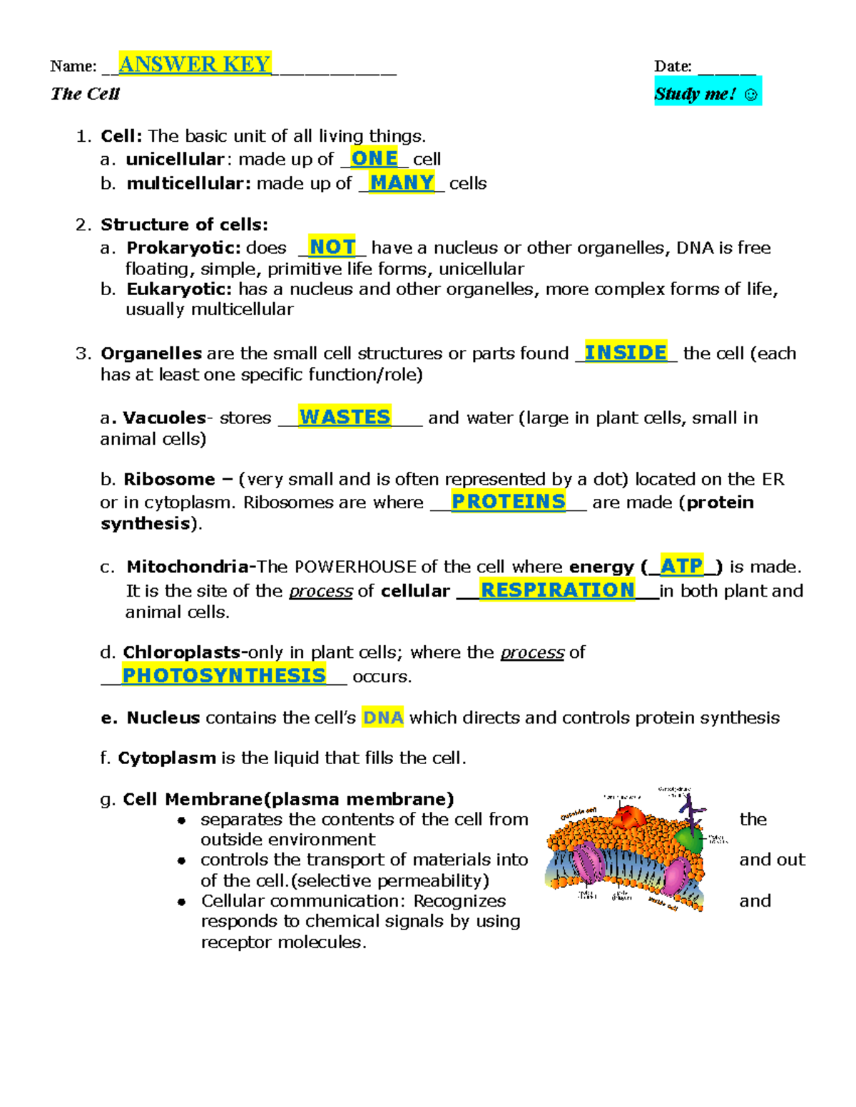 Cell Biology & Processes: Regents Review Study Guide (BIO 101) - Studocu
