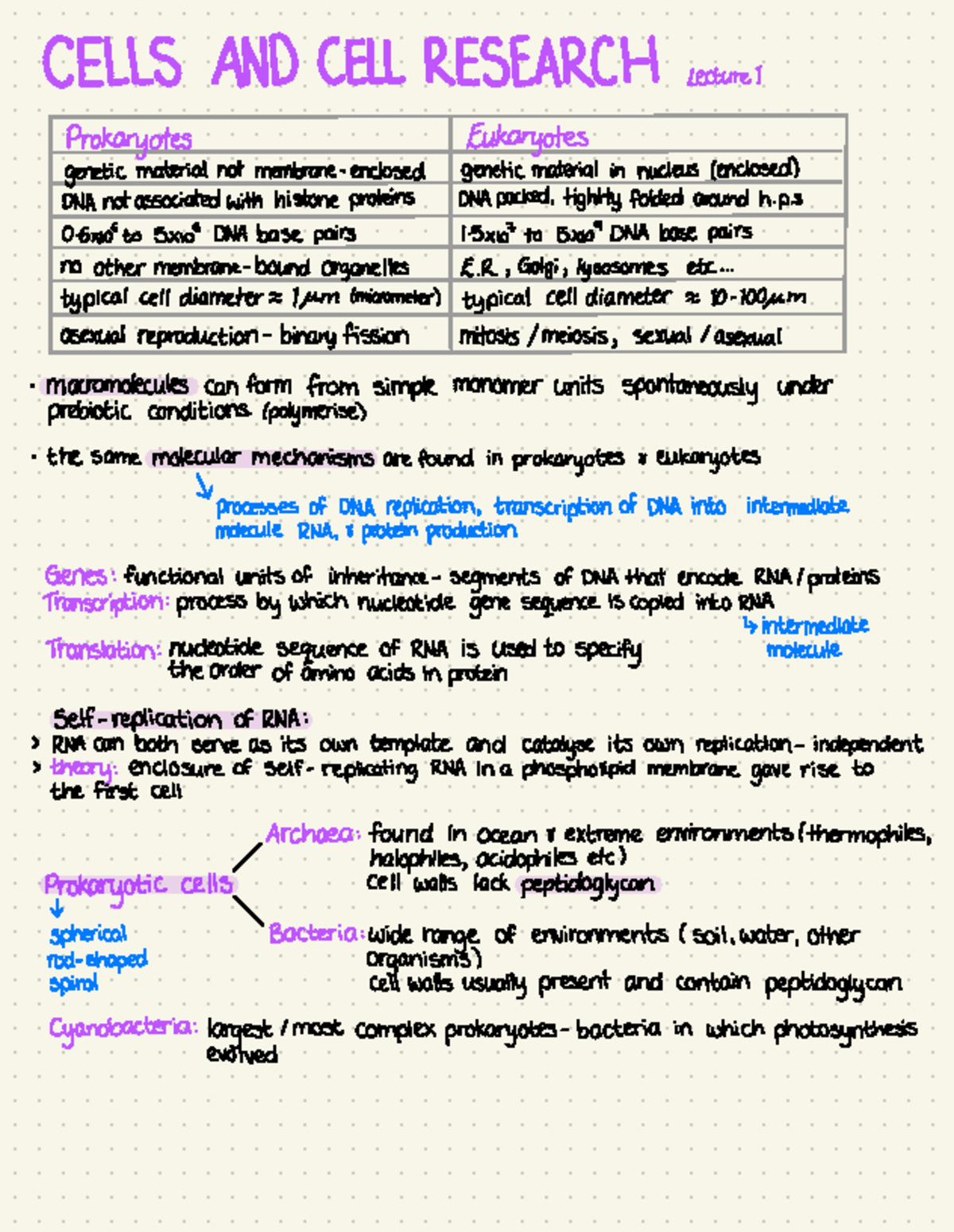 Cellular Biology - Lecture Notes on Prokaryotes and Eukaryotes - Studocu