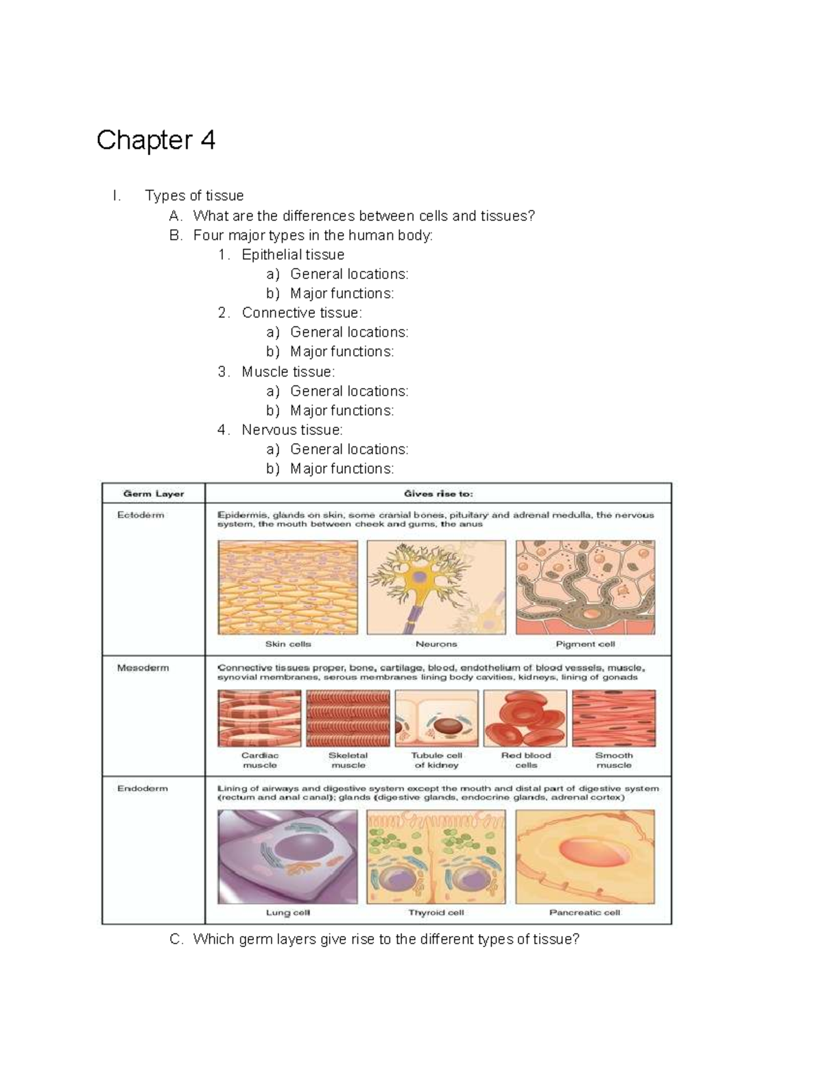 Human Tissue Types And Functions