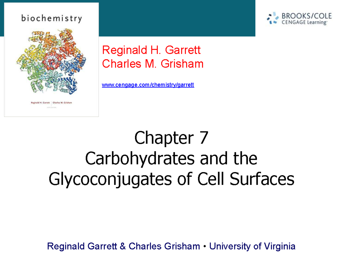Carbohydrates and Glycoconjugates: Structures & Functions (CH 7) - Studocu