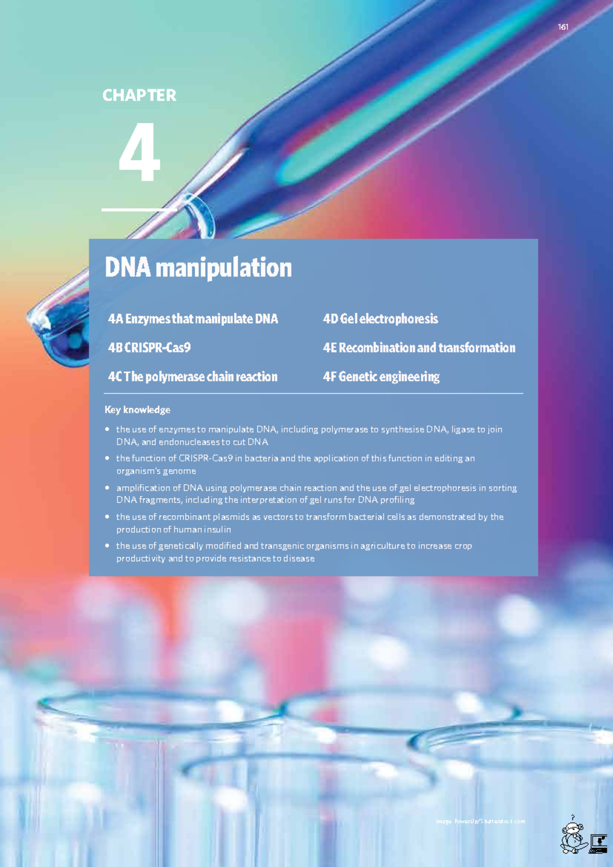 161 VCE BIOLOGY 34: CHAPTER 4 - DNA Manipulation & Enzymes - Studocu