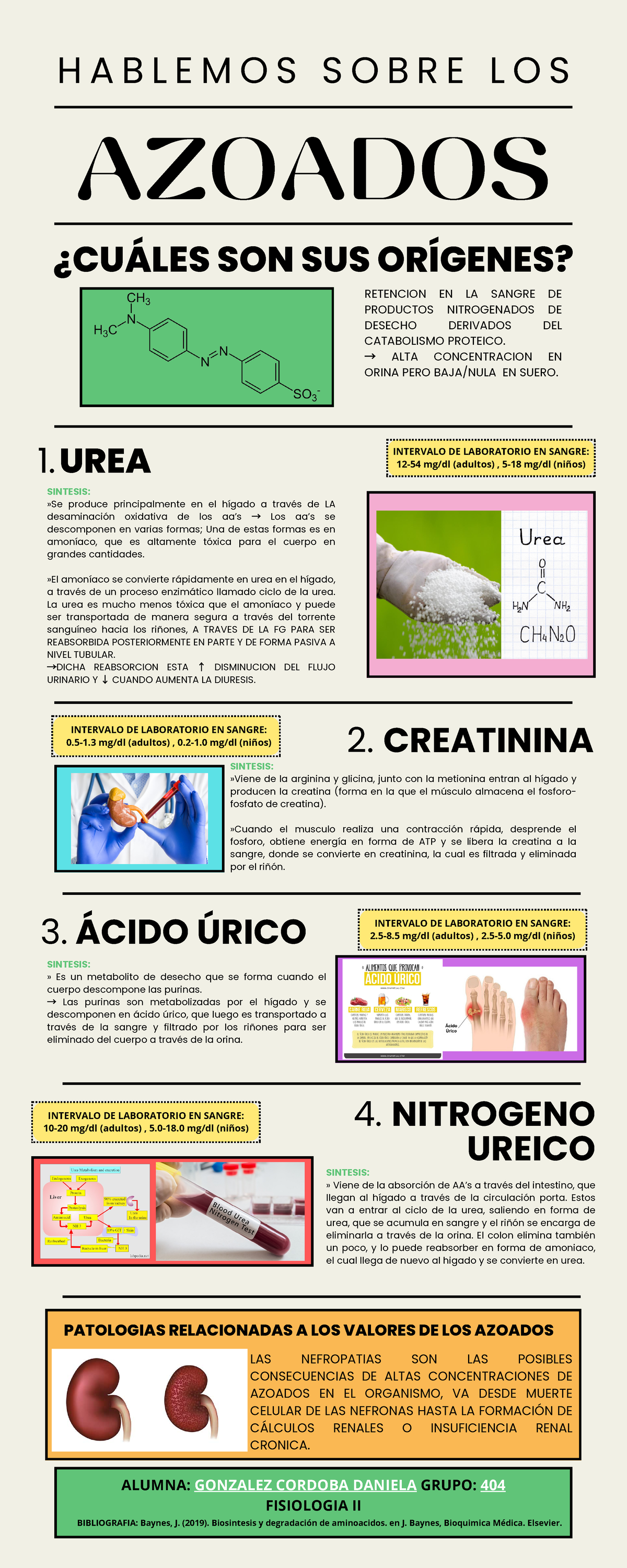 Infografía sobre Azoados y Su Relación con Patologías - FISIOLOGIA II ...