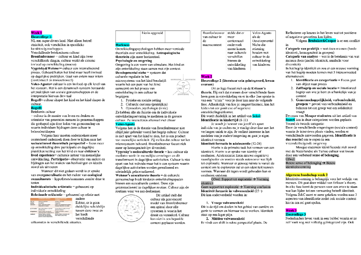 Cultural Diversity Cheat Sheets for Quick Reference - Studeersnel