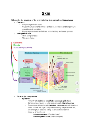Lab report 3 AI use acknowledgement statement - Lab report 3 ...