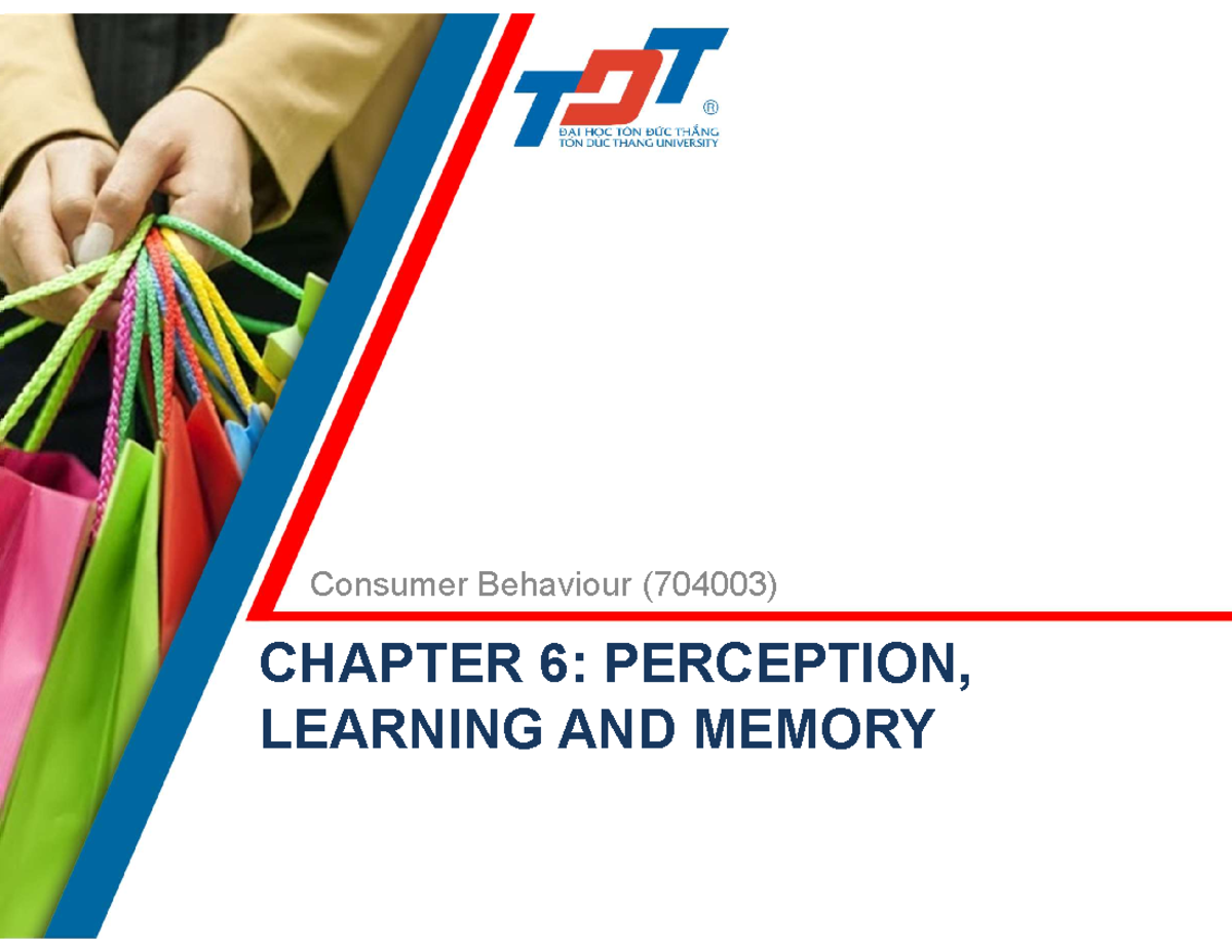 Chapter 06 Perception - Learning Memory - CHAPTER 6: PERCEPTION, LEARNING AND MEMORY Consumer ...